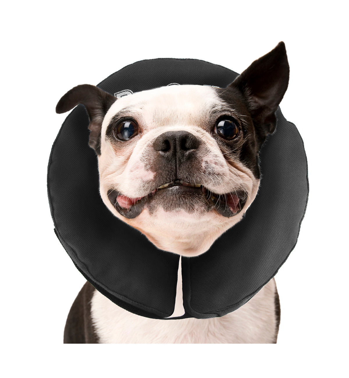 ZenPet ZenCollar The Original Inflatable Recovery Collar for Dogs ...