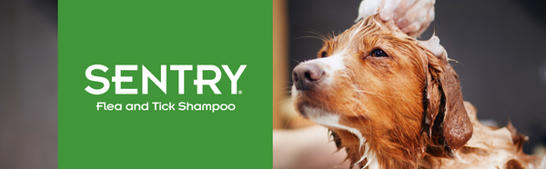 Sentry Flea & Tick Oatmeal Shampoo Dog 63.5OZ – Petsense
