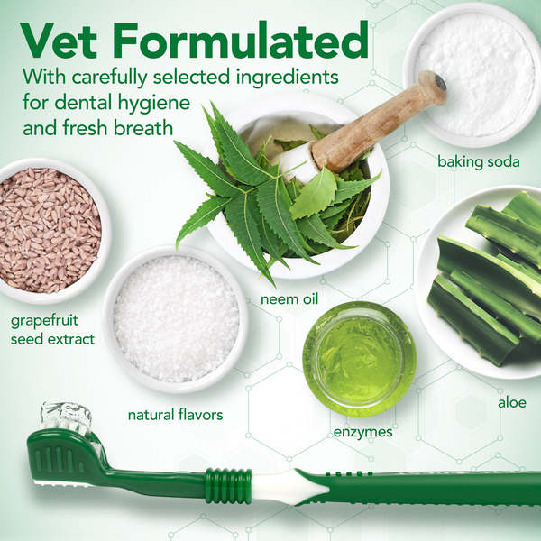Vet's Best Dental Care Kit with Toothbrush and Gel 3.5oz – Petsense
