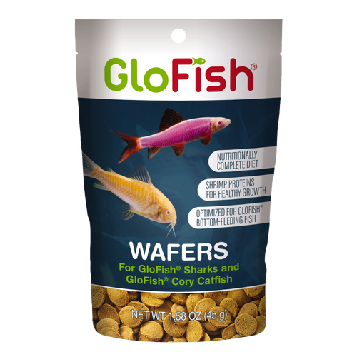 Pet Fish – Petsense