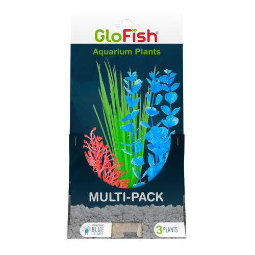 Pet Fish – Petsense