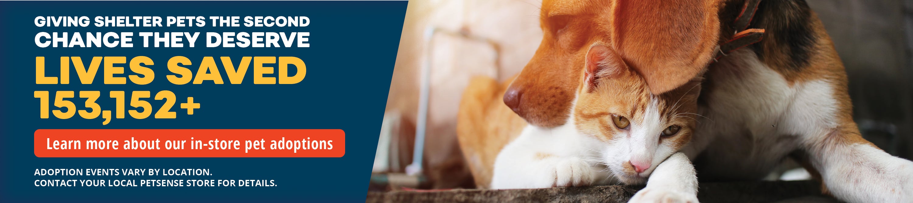 Petsense® Pet Adoption Events | Every Day In Store Cat Adoptions