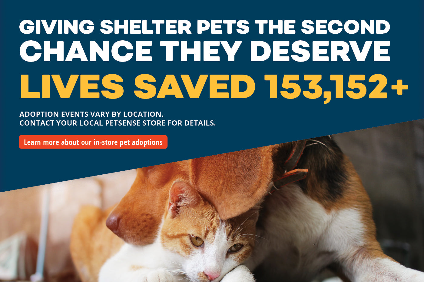 Petsense® Pet Adoption Events | Every Day In Store Cat Adoptions