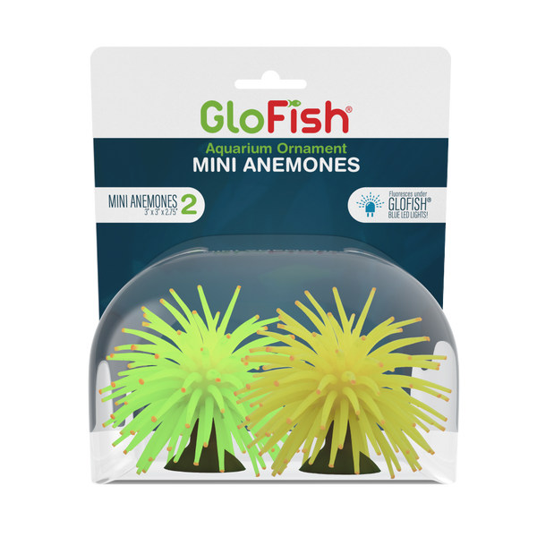 Pet Fish – Petsense