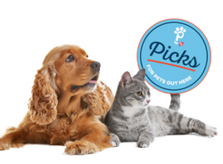 Petsense Store Locator