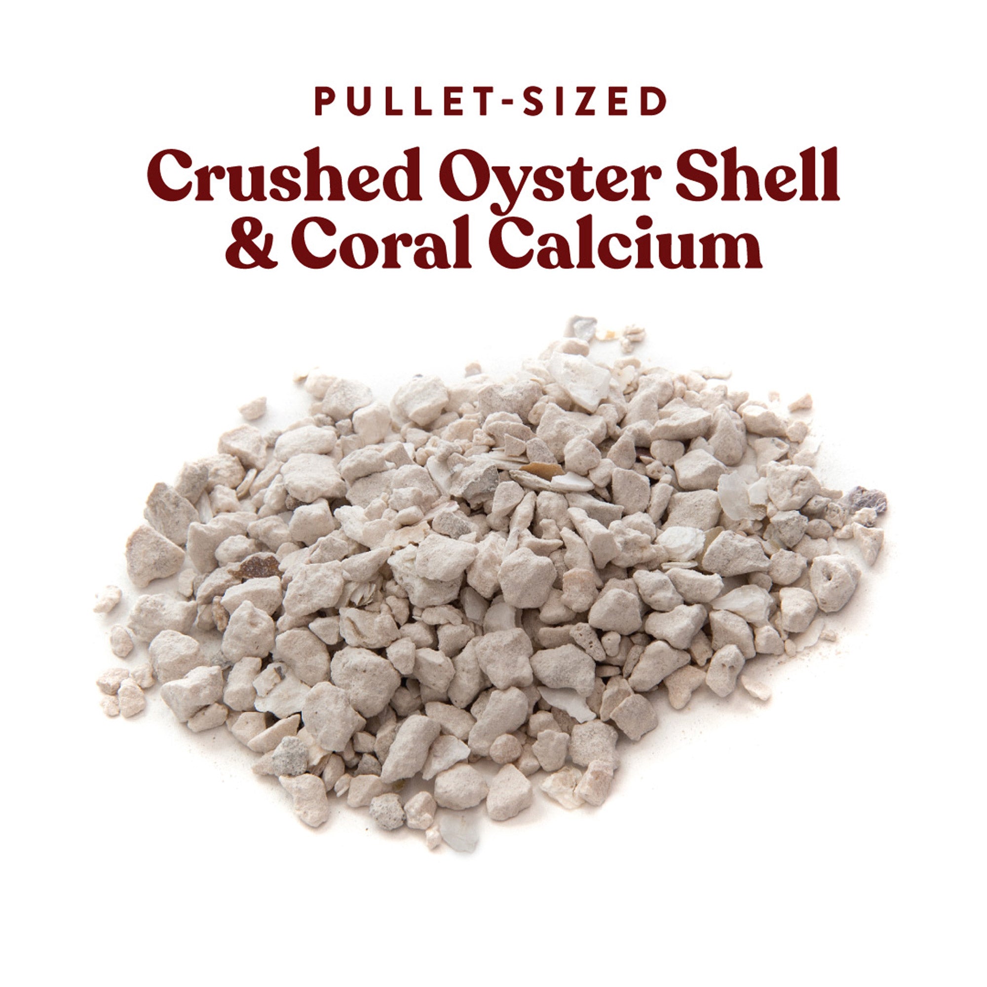 Premium Chicken Sand Review: Manna Pro Crushed Oyster Shell For Laying ...