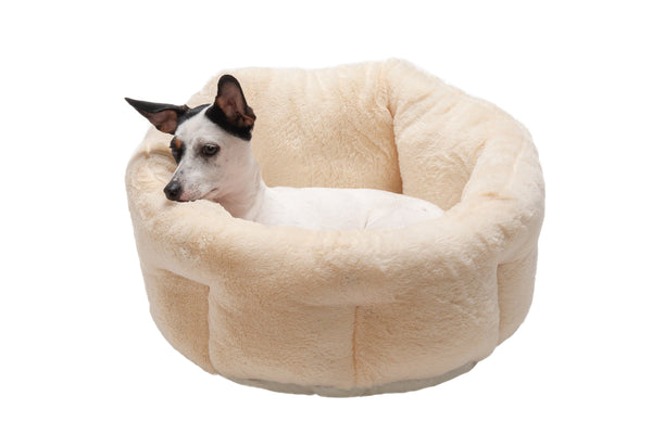 Dog Beds – Petsense