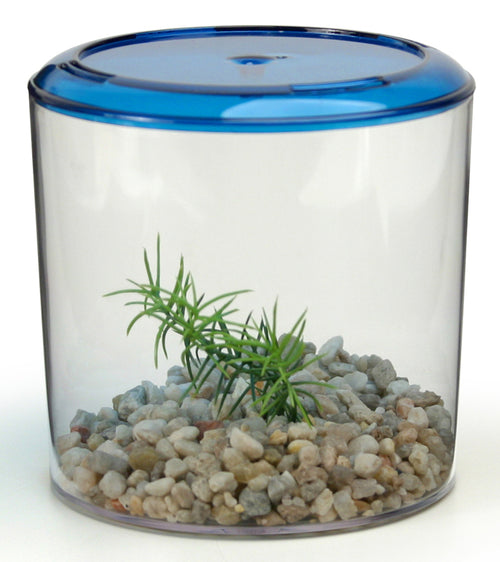 Pet Fish – Petsense