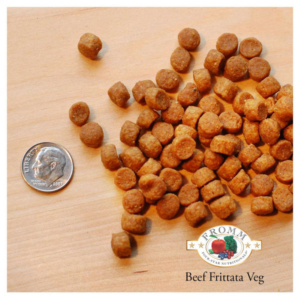 Fromm Four Star Grain Free Beef Frittata Veg Dry Dog Food – Petsense