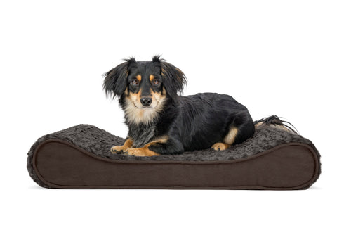Dog Beds – Petsense
