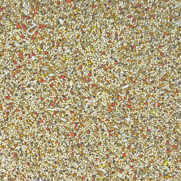 Higgins Sunburst Gourmet Blend Parakeet Food – Petsense