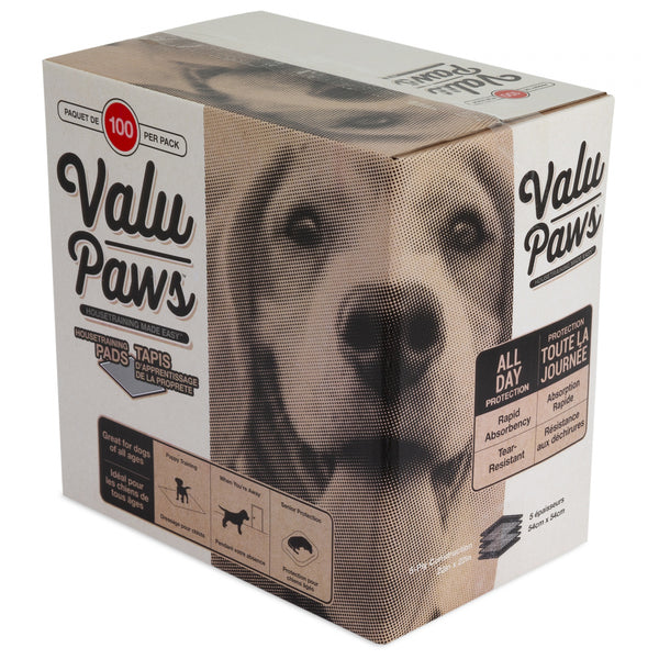 Petmate Precision Pet Valupaws House Puppy Training Pad 22X22 – Petsense